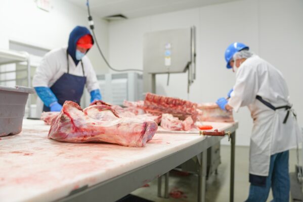 Butcher Shop Equipment List: 22 Equipment You Must Have